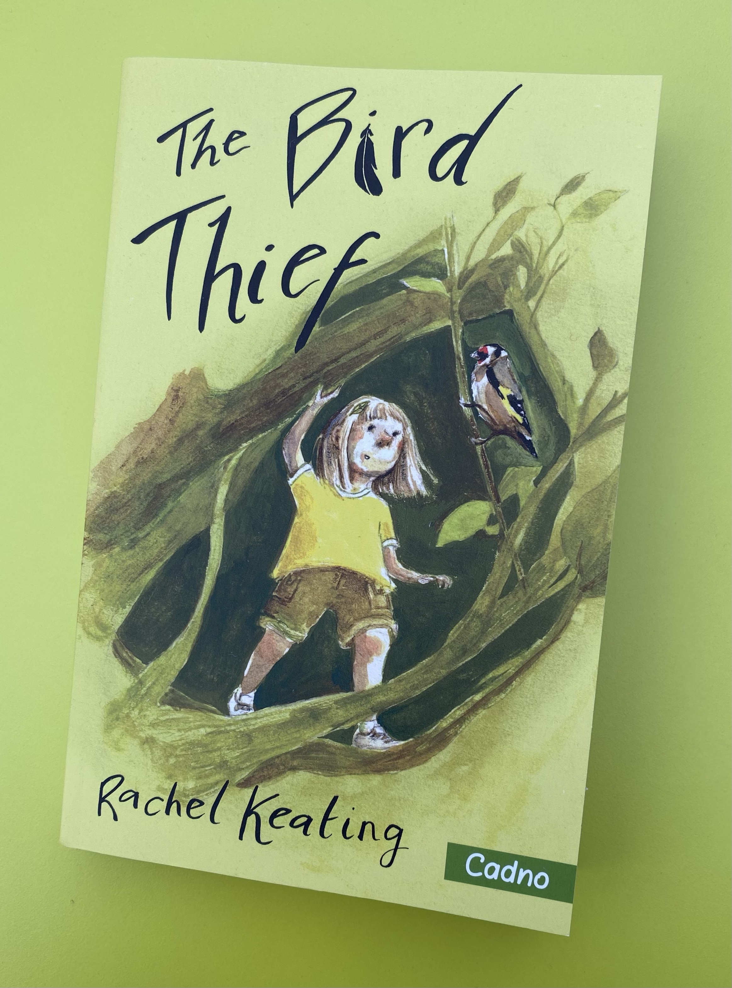 The Bird Thief Rachel Keating – Bookread2day